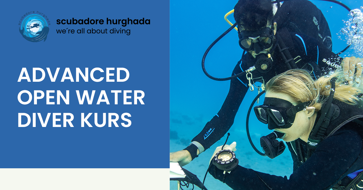 PADI Advanced Open Water Certification in Hurghada | Scubadore Hurghada